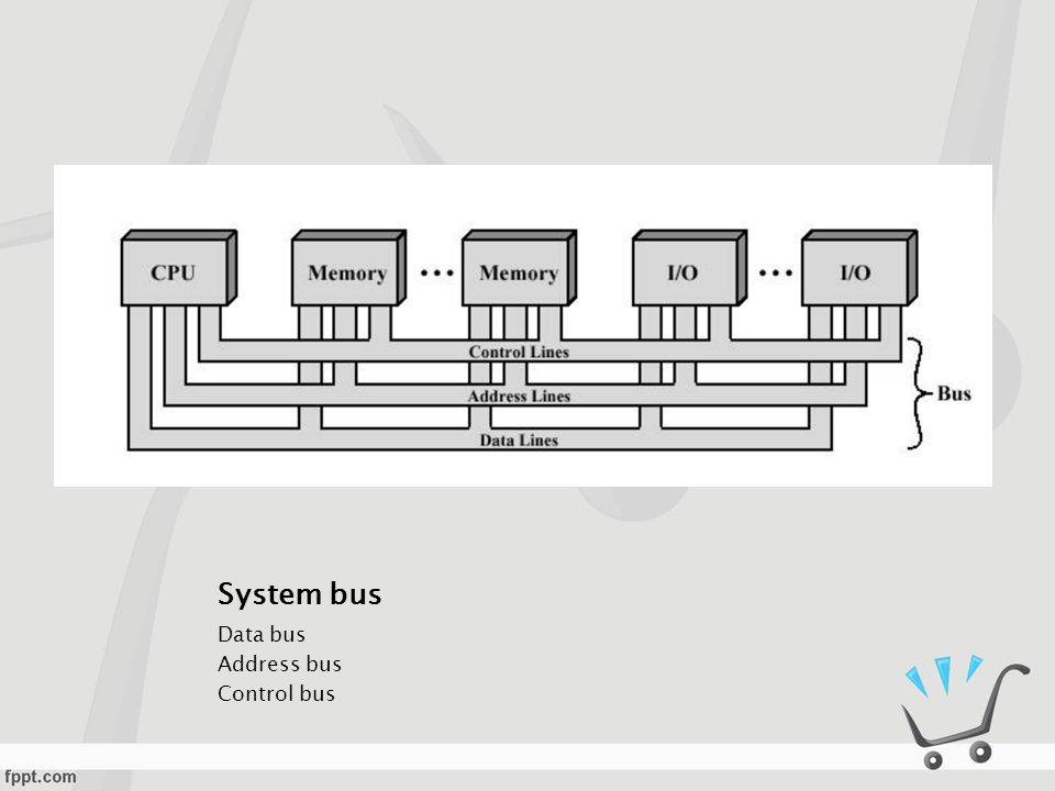 Supplemental Lecture Material